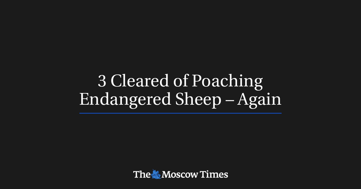 3 Cleared of Poaching Endangered Sheep – Again
