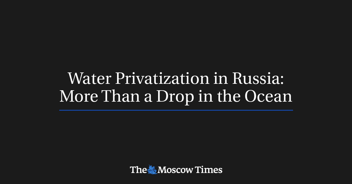 Water Privatization in Russia: More Than a Drop in the Ocean