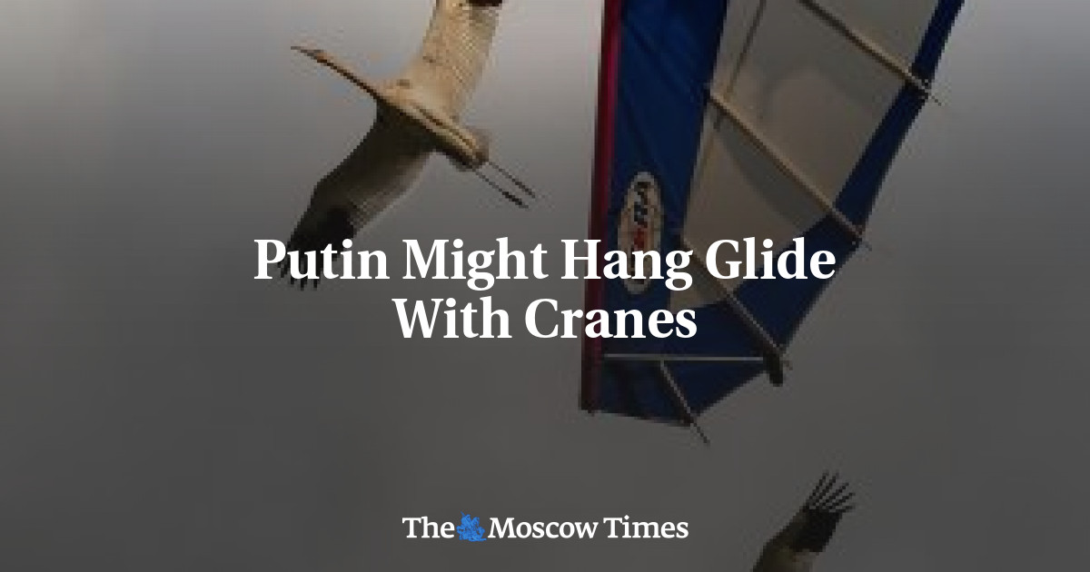 Putin Might Hang Glide With Cranes
