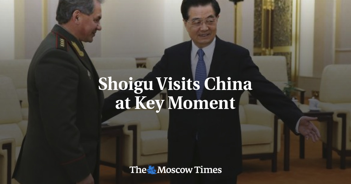 Shoigu Visits China at Key Moment