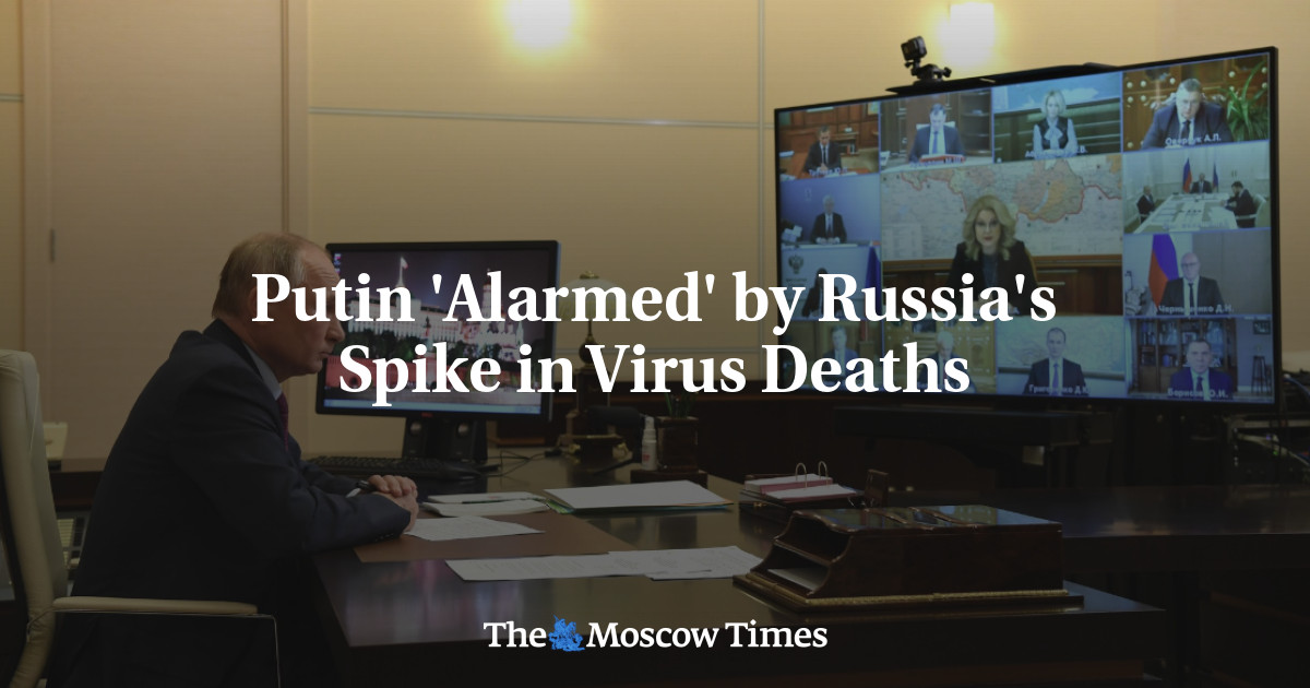 Putin 'Alarmed' by Russia's Spike in Virus Deaths - The Moscow Times