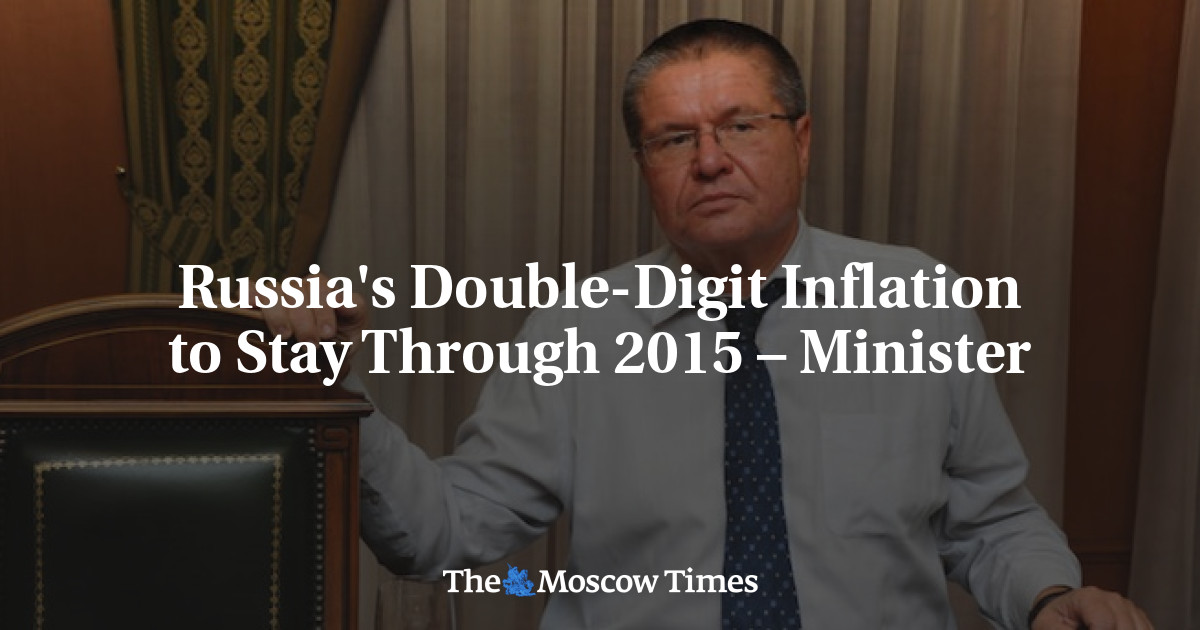Russia's Double-Digit Inflation to Stay Through 2015 – Minister