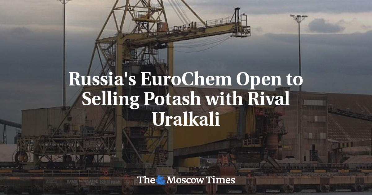 Russia's EuroChem Open to Selling Potash with Rival Uralkali