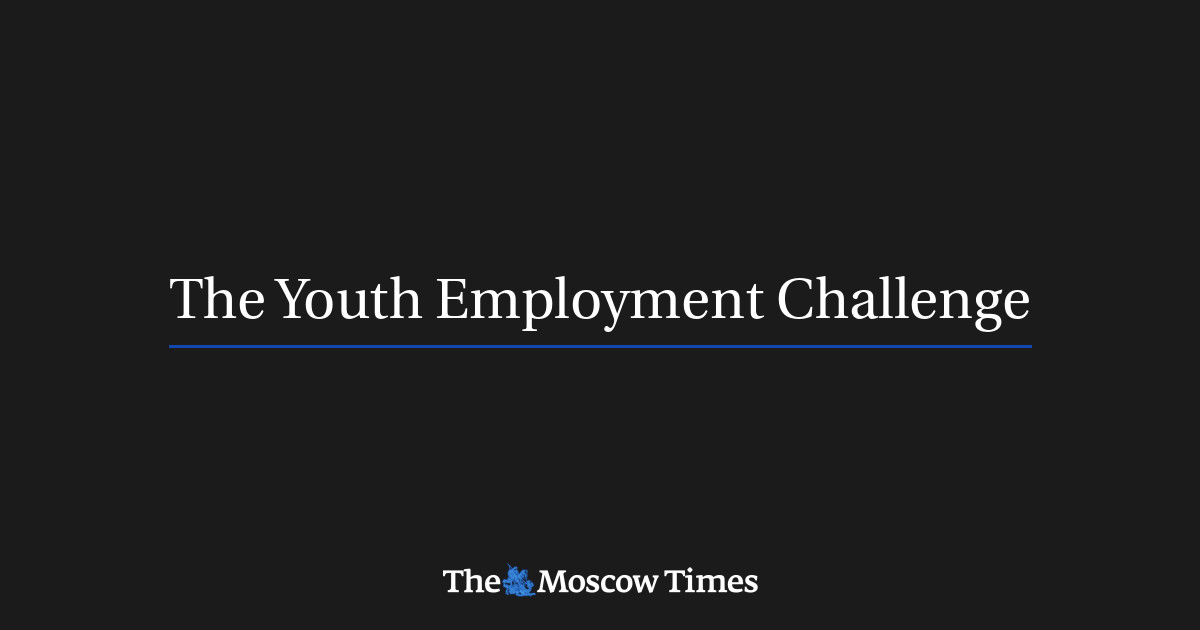 The Youth Employment Challenge