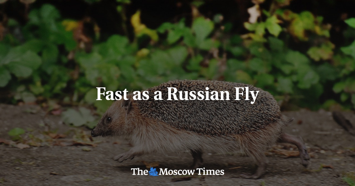 Fast as a Russian Fly - The Moscow Times