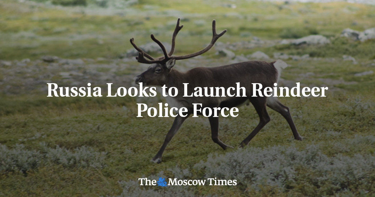 Russia Looks to Launch Reindeer Police Force