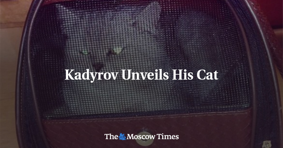 Kadyrov Unveils His Cat