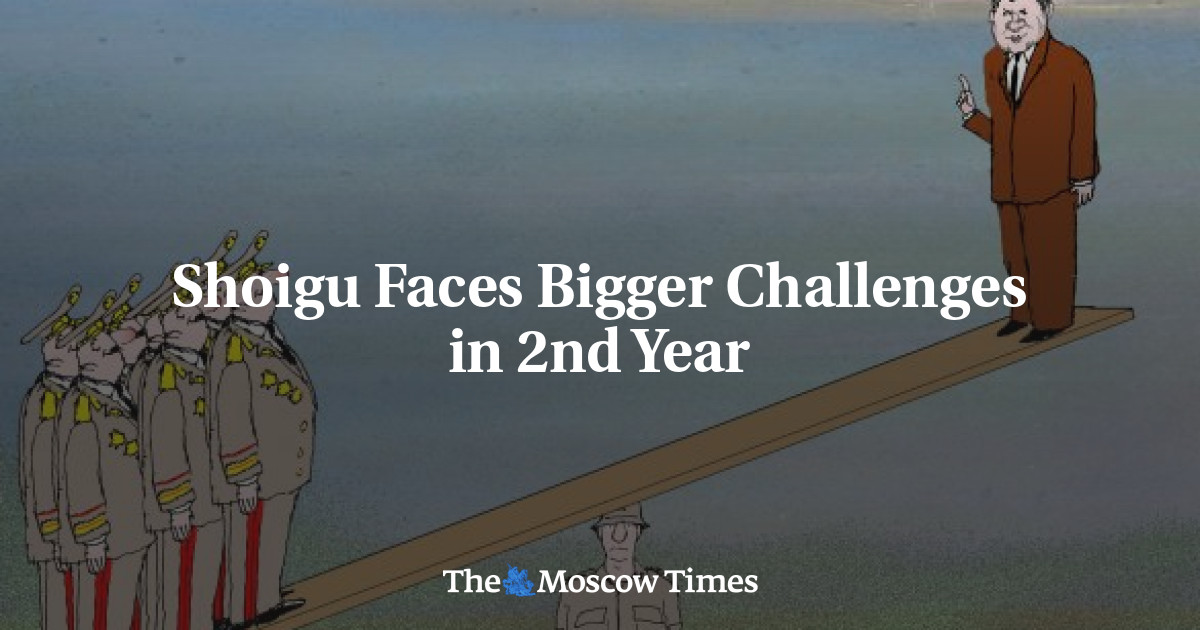 Shoigu Faces Bigger Challenges in 2nd Year
