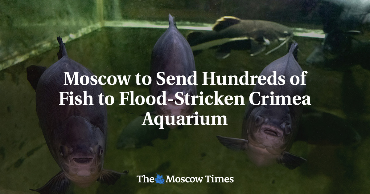 Moscow to Send Hundreds of Fish to Flood-Stricken Crimea Aquarium - The ...