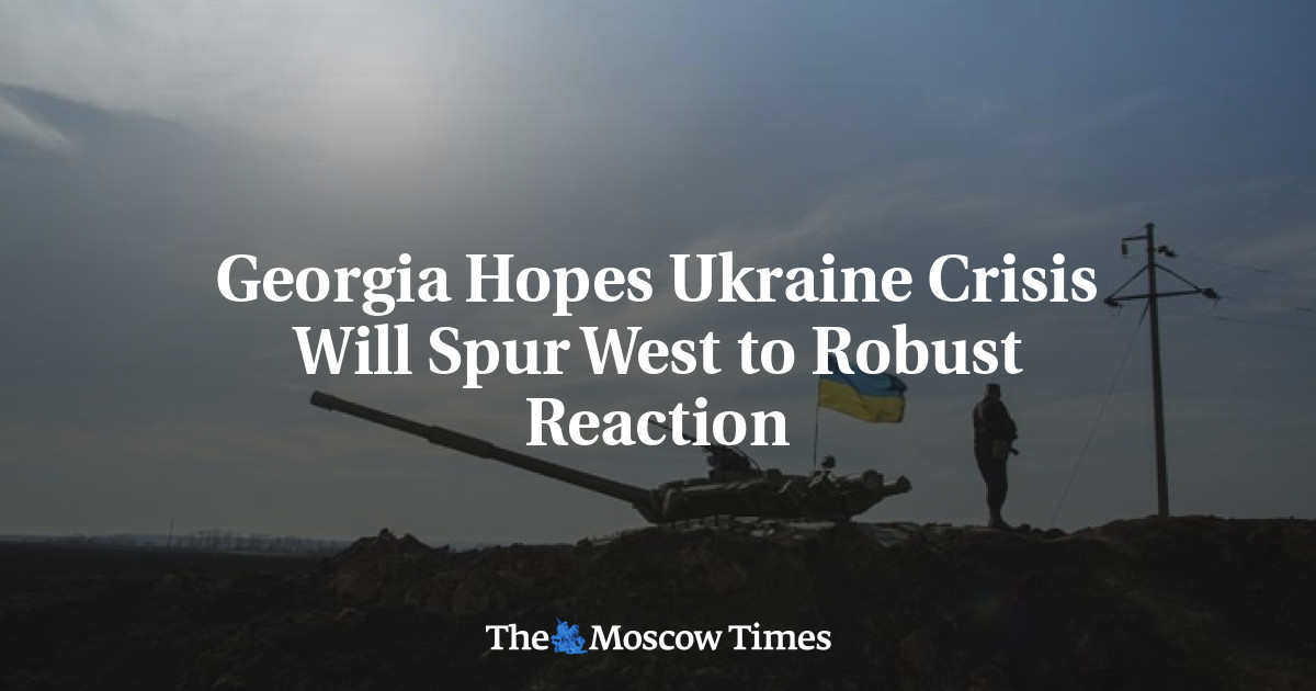 Georgia Hopes Ukraine Crisis Will Spur West to Robust Reaction