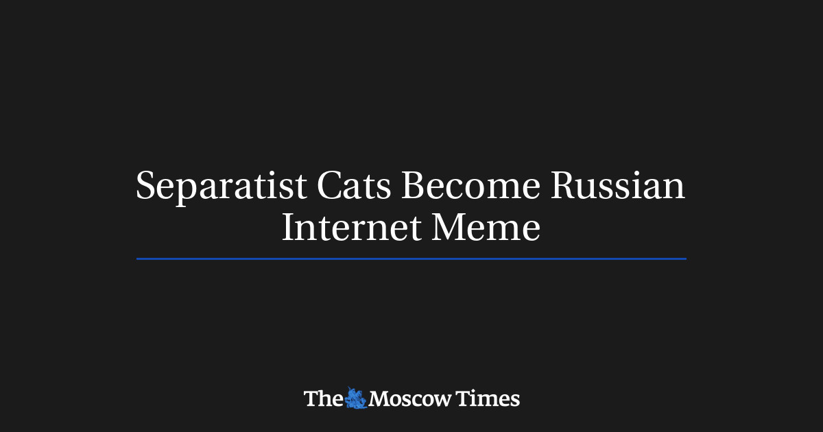 Separatist Cats Become Russian Internet Meme