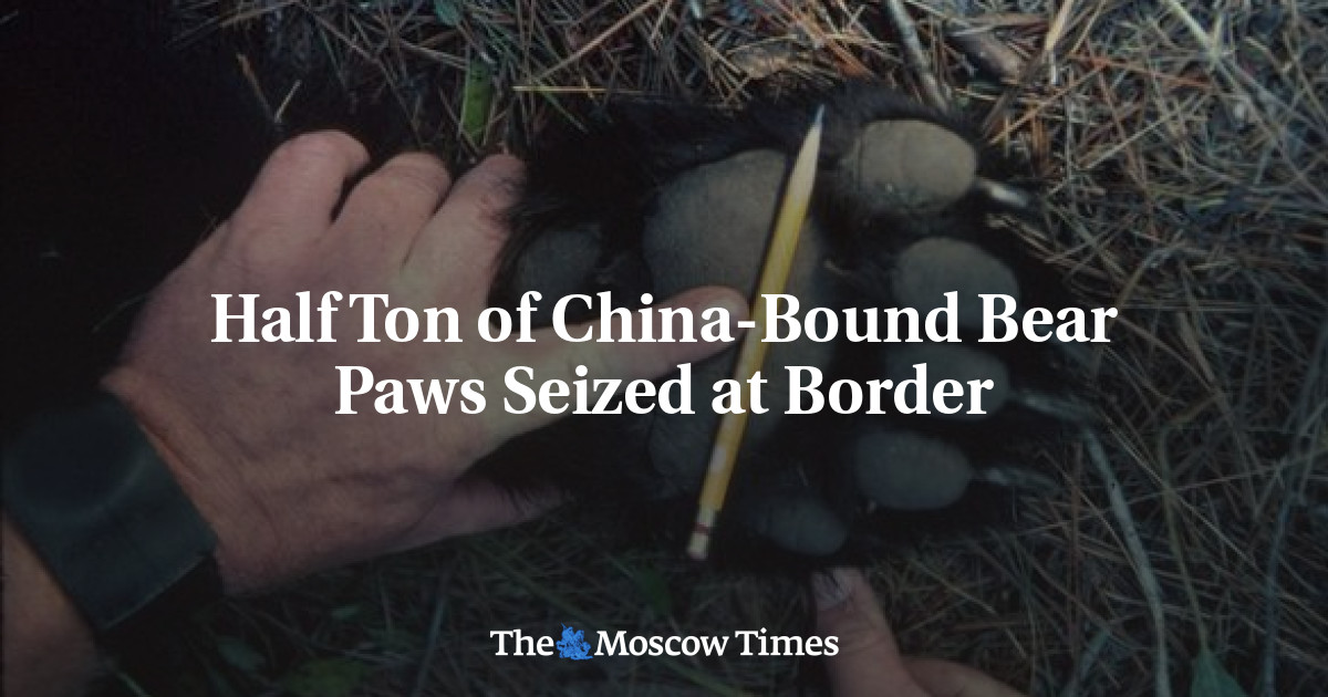 Half Ton of China-Bound Bear Paws Seized at Border