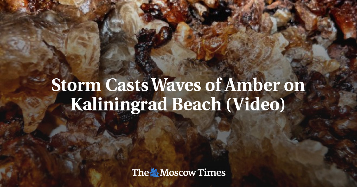 Storm Casts Waves of Amber on Kaliningrad Beach (Video)