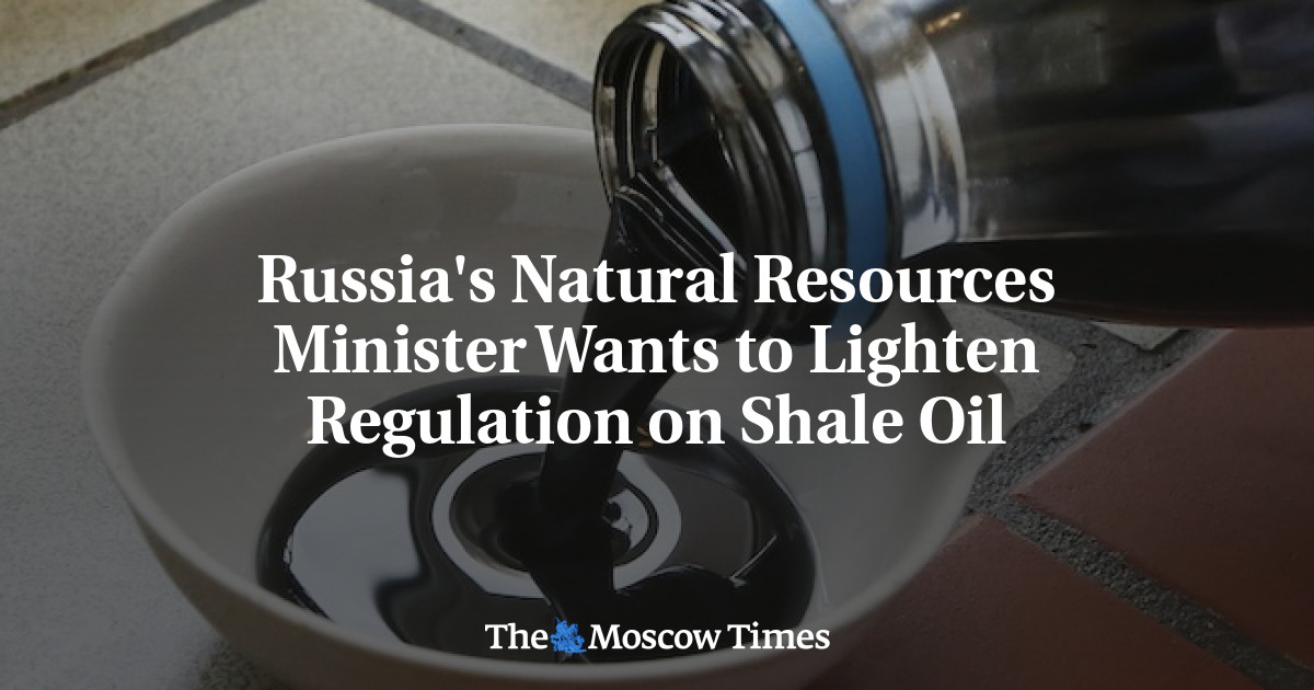 Russia's Natural Resources Minister Wants to Lighten Regulation on ...
