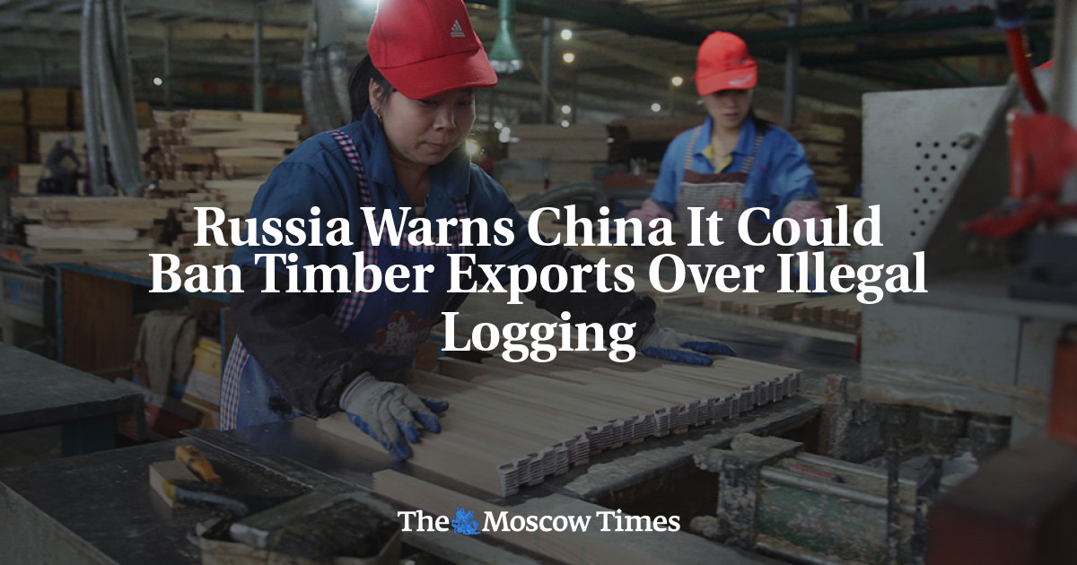 Russia Warns China It Could Ban Timber Exports Over Illegal Logging ...