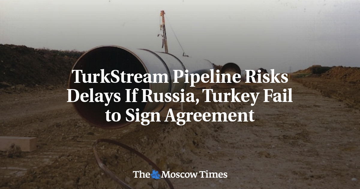 TurkStream Pipeline Risks Delays If Russia, Turkey Fail to Sign Agreement
