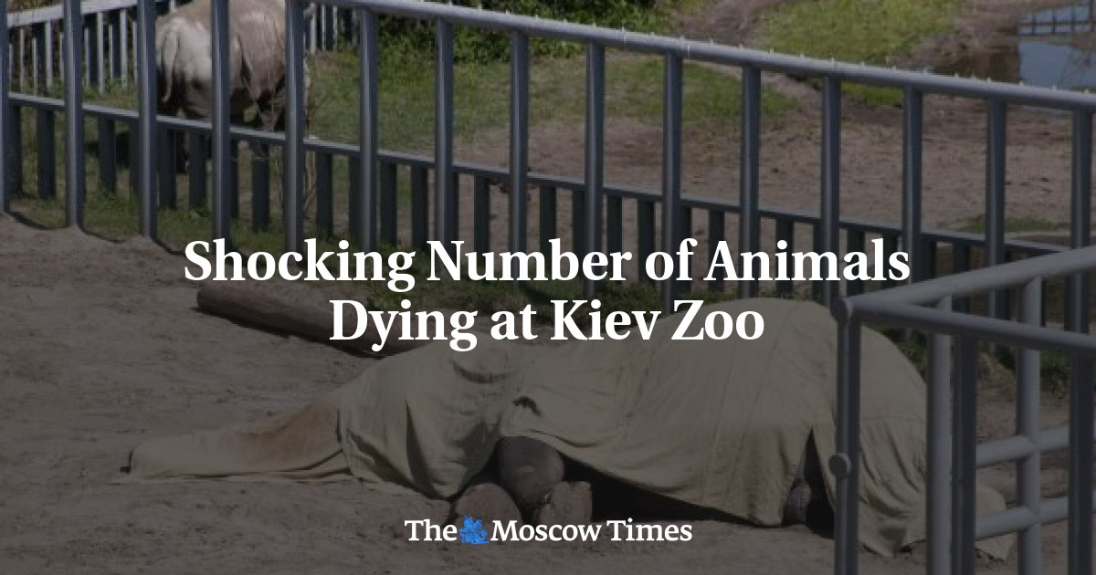 Shocking Number of Animals Dying at Kiev Zoo