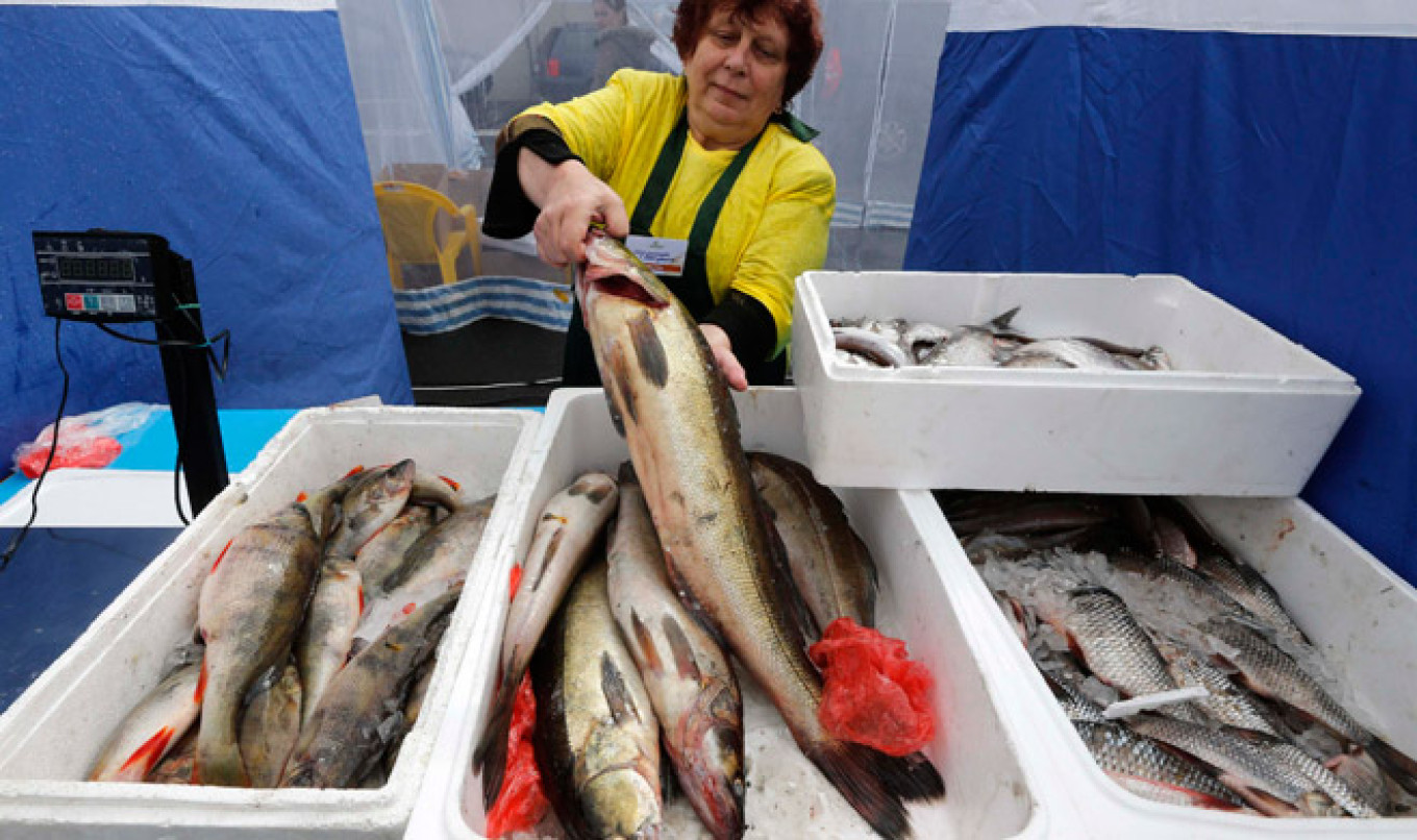 Murmansk Fish Factory Sues Russian Government Over 'Illegal' Food ...
