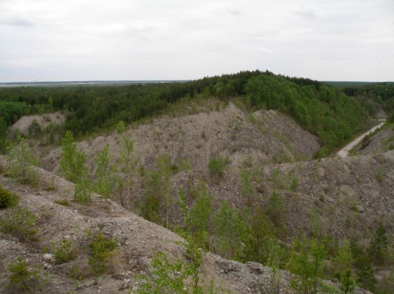 Estonia Seeks Shale Oil in Utah