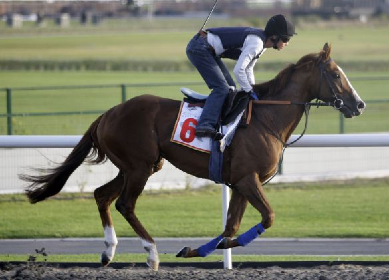 Kadyrov Makes Name for Himself in Horse Racing