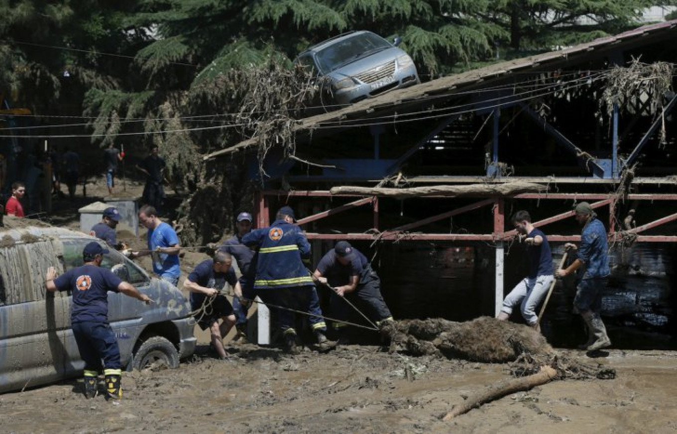 Tbilisi Zoo Animals Struggle After Floods