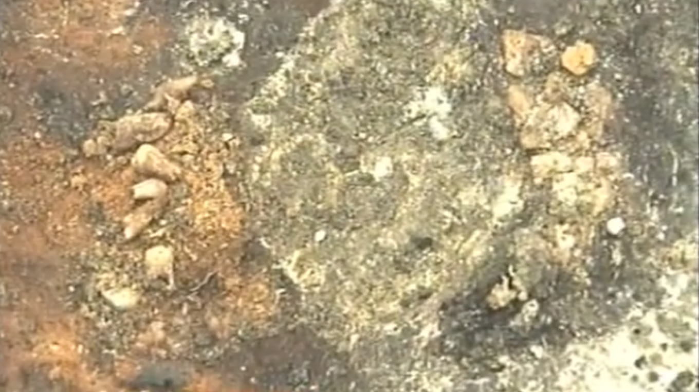 Russian Archaeologists Discover Cave Paintings Dated 3000 BC