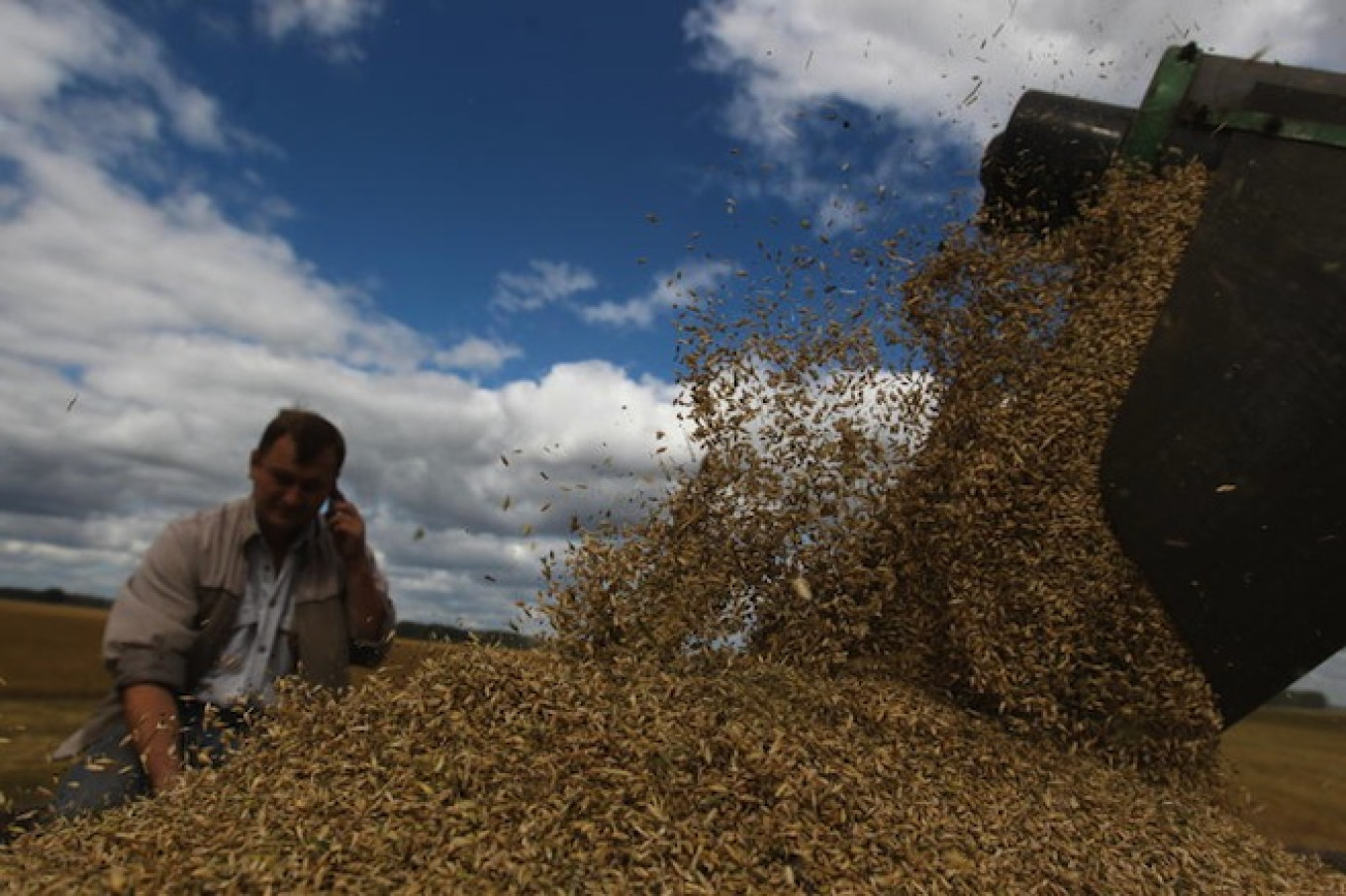 Russia Expecting 3rd Largest Grain Harvest in Post-Soviet History