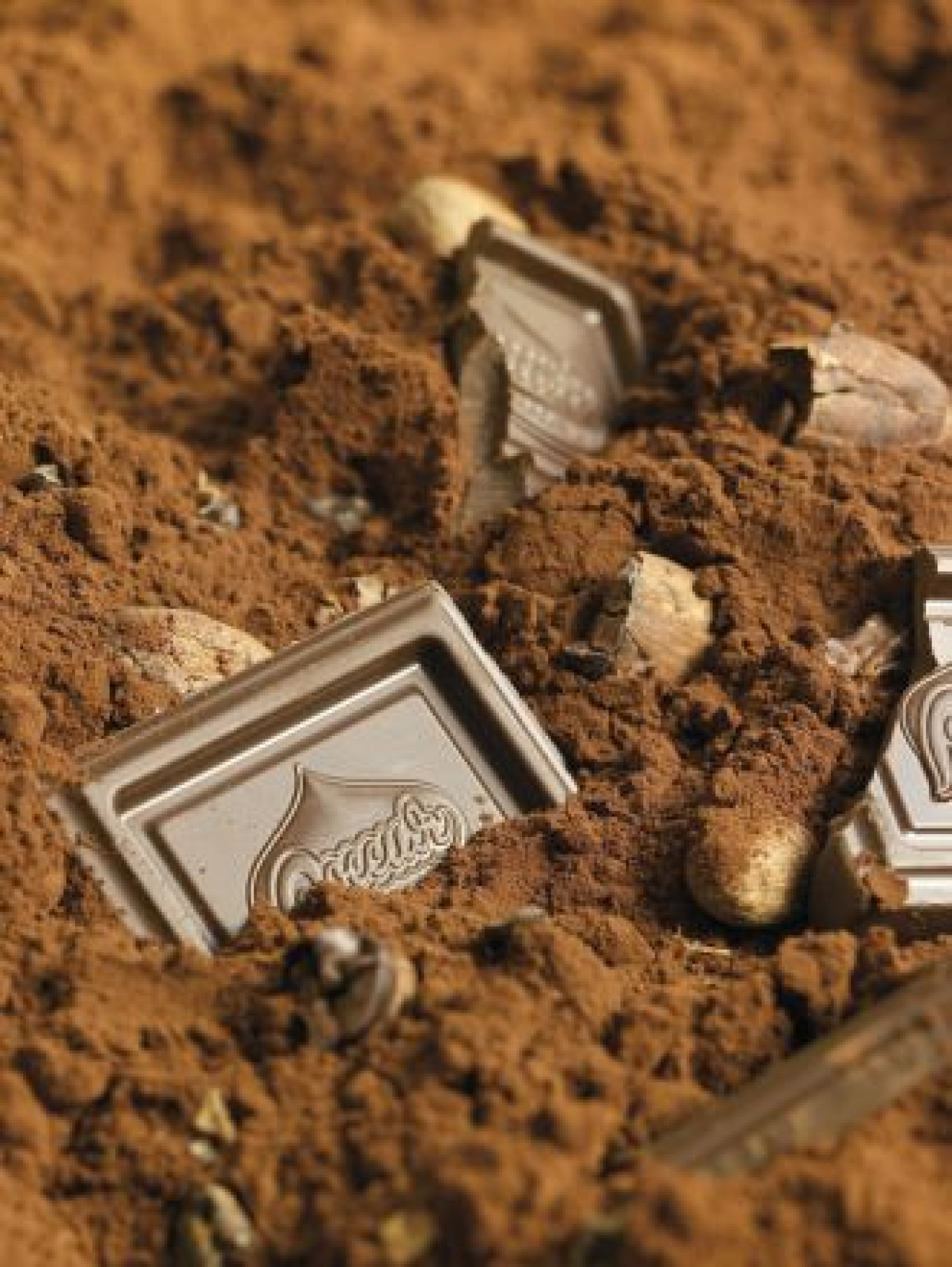 Nestle Witness to 140 Years of History