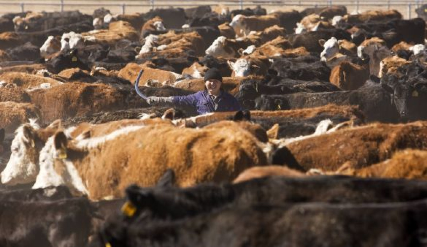 A U.S. Cowboy in Kazakhstan