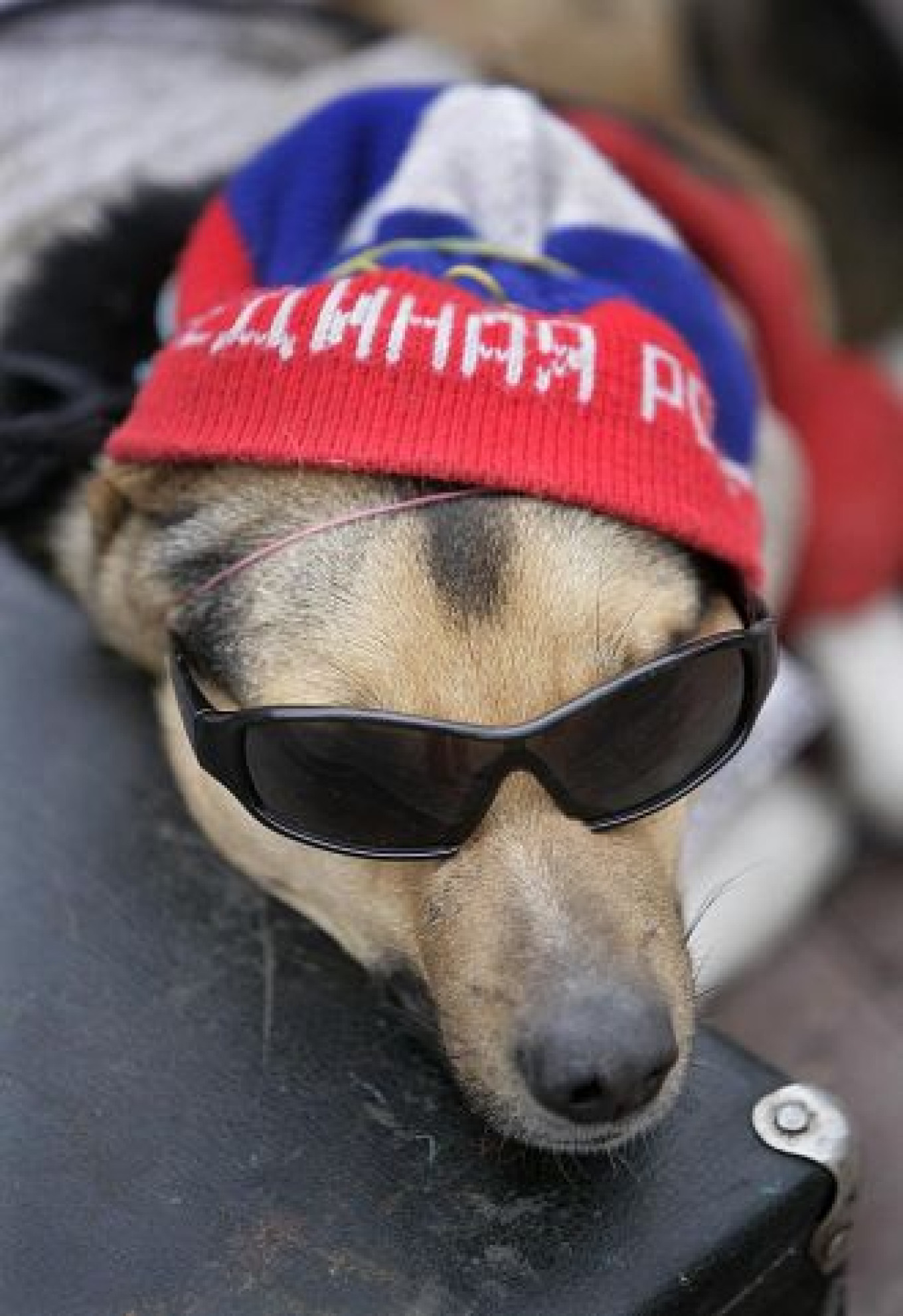 Poll Shows Drop for Putin, Party