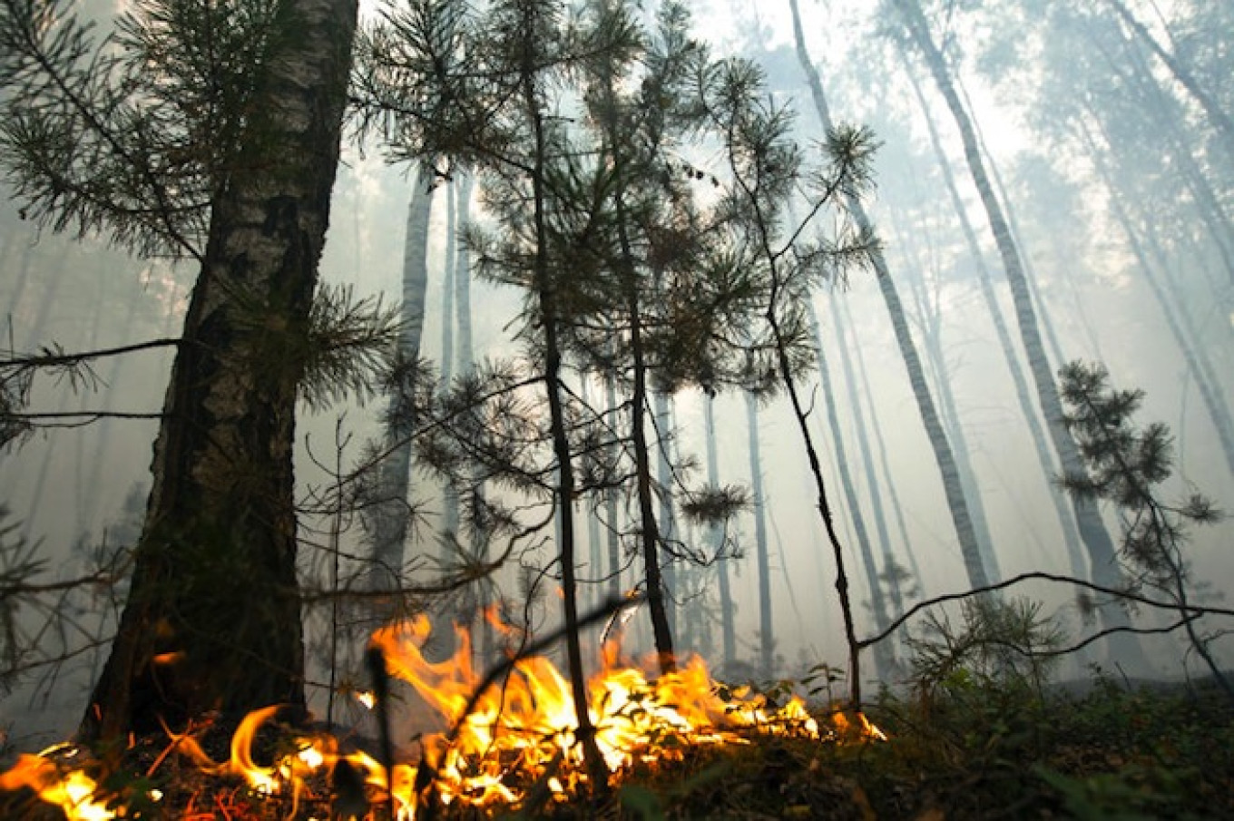 Forest Fires Quadruple Overnight in Russia's Far East