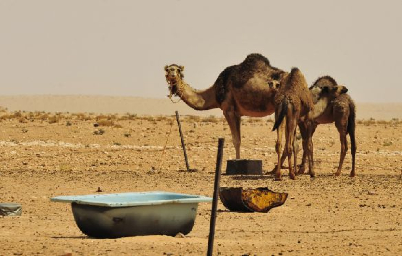 Libyan Oil Tankers Up for Sale