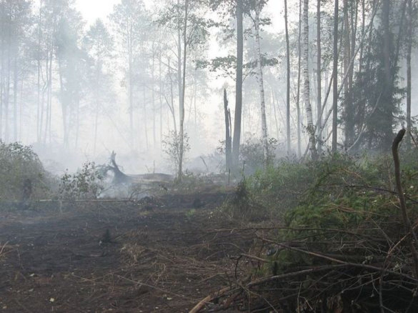 State of Emergency Declared Due to Fires in Eastern Regions