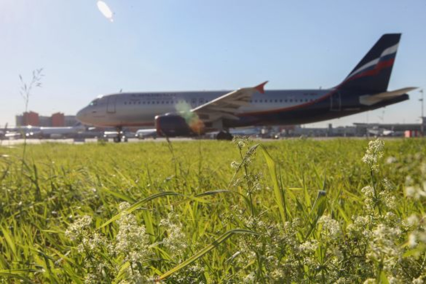 Aeroflot to Set Up Low-Cost Carrier by 2014