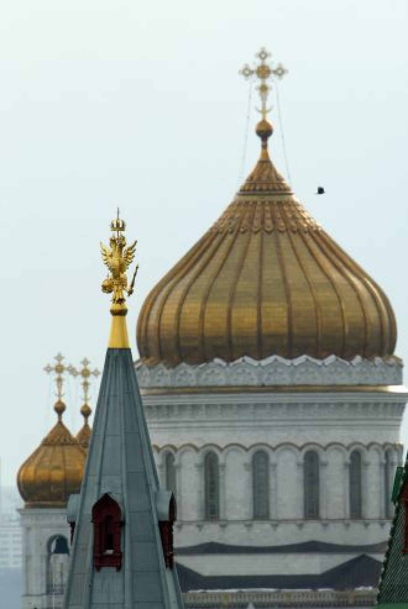 Church's Political Influence Growing, Poll Says