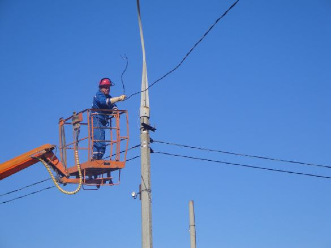 Electricity Thieves Caught in the Act