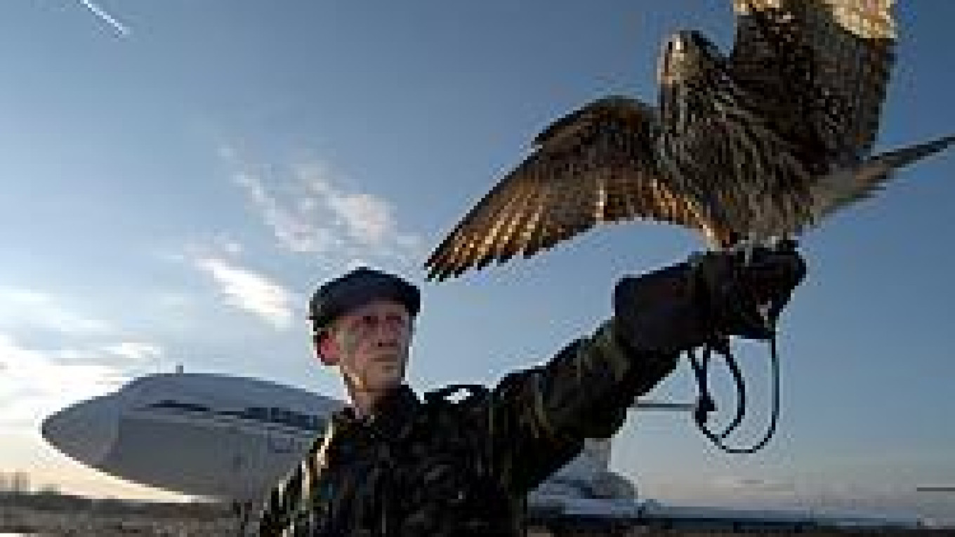 4 Falcons Patrol the Sky Above Pulkovo