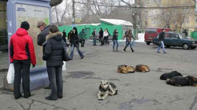 You've Been in Russia Too Long When ... Part 2 (Photo Essay)