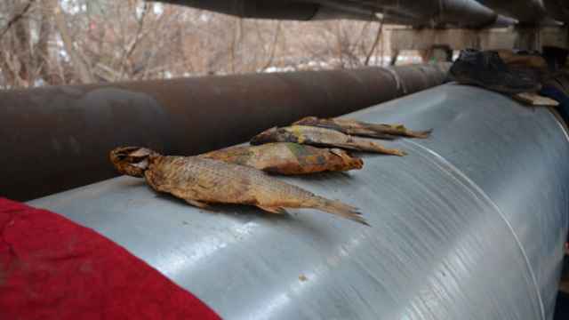 Moscow's Homeless, Under the Pipes in Kapotnya